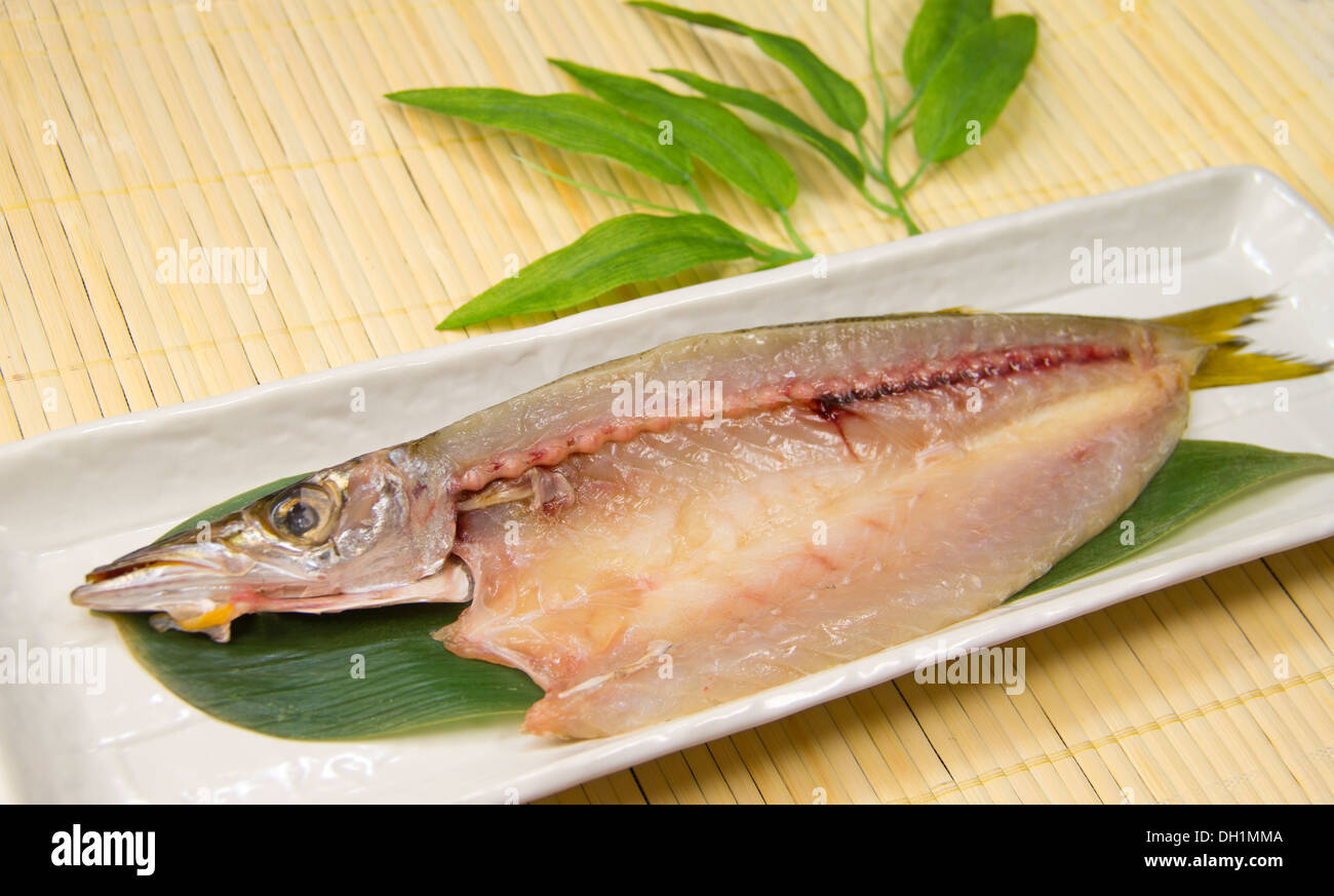 Japanese barracuda hi-res stock photography and images - Alamy