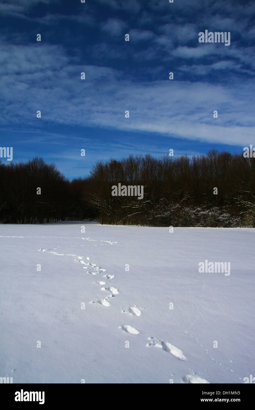 Snow and winter blue sky hi-res stock photography and images - Alamy