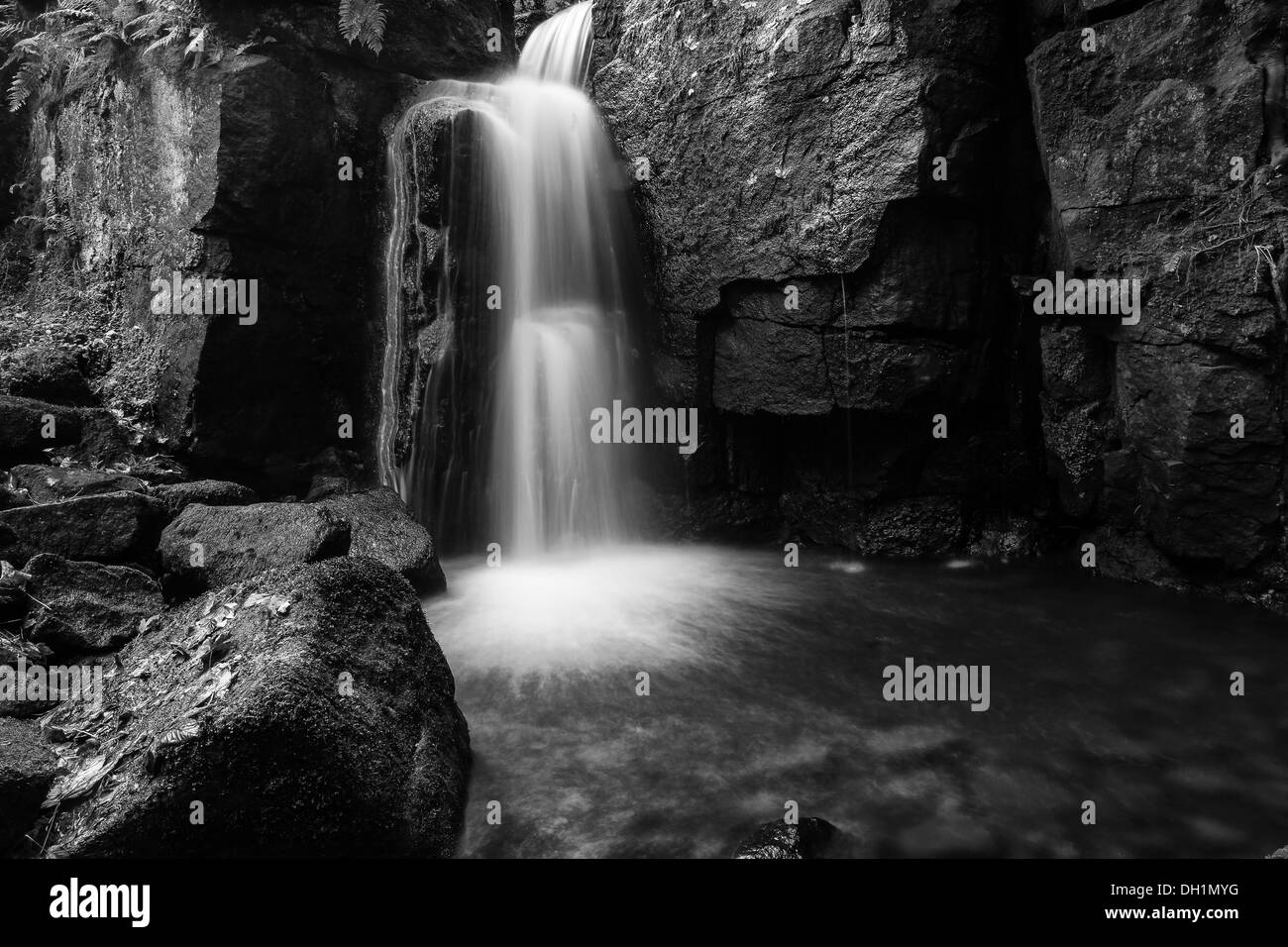 Water conservation uk Black and White Stock Photos & Images - Alamy
