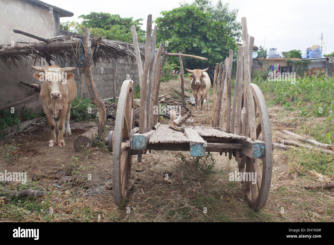 Istmo region hi-res stock photography and images - Alamy