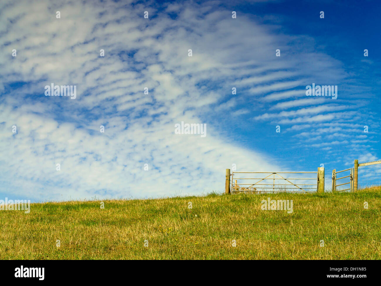 A country gate with grass and sky in Dorset, UK Stock Photo - Alamy