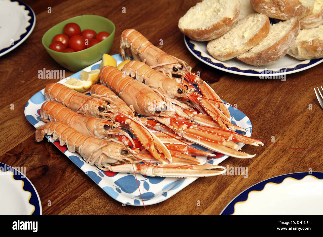 Parastacoidea hi-res stock photography and images - Alamy