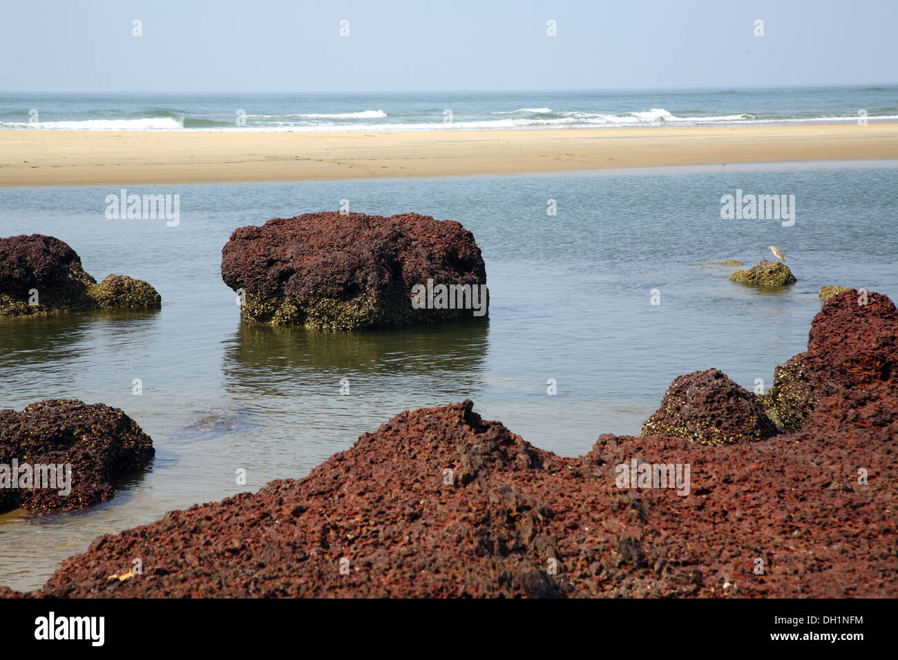 Bhogwe beach Vengurla sindhudurg Maharashtra India Asia Stock Photo - Alamy