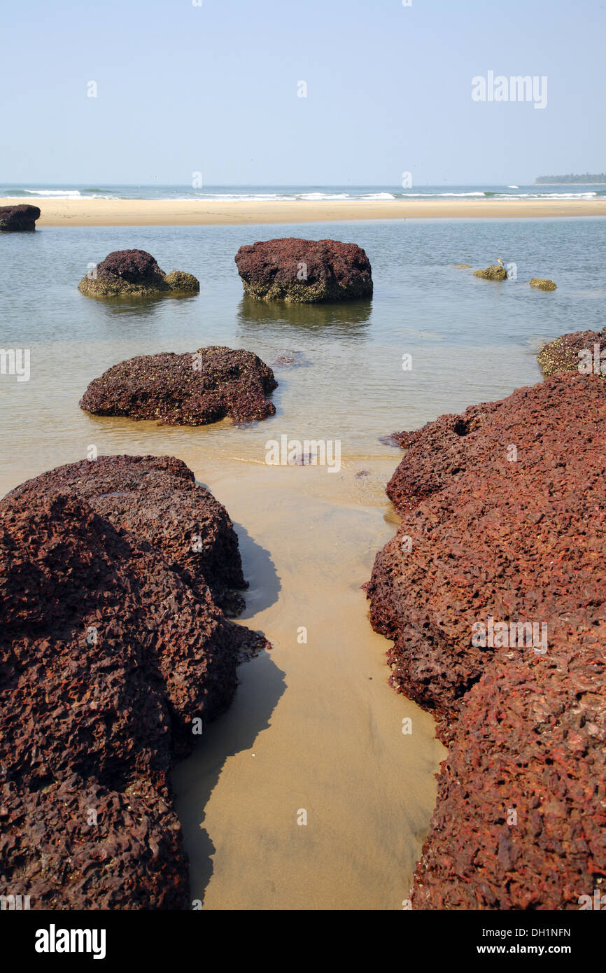 Bhogwe beach Vengurla sindhudurg Maharashtra India Asia Stock Photo - Alamy