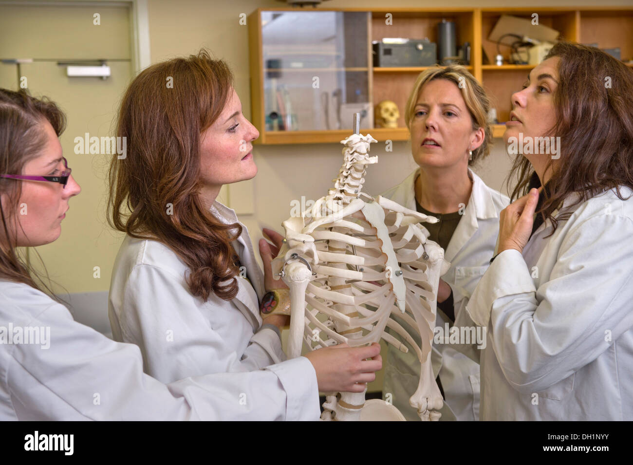 Forensic lab bone hi-res stock photography and images - Alamy