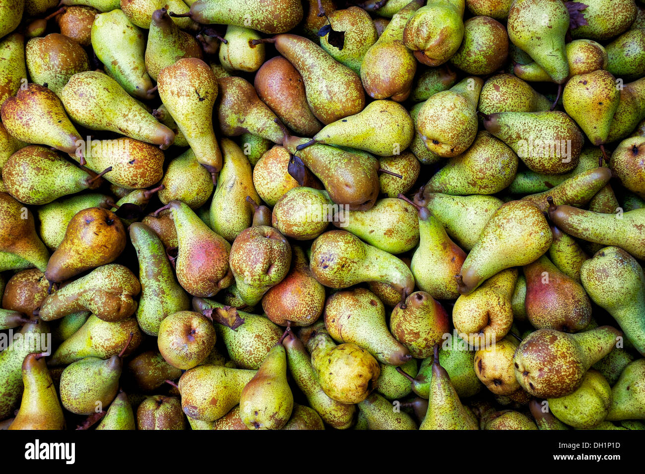 Common pears pyrus communis hi-res stock photography and images - Alamy