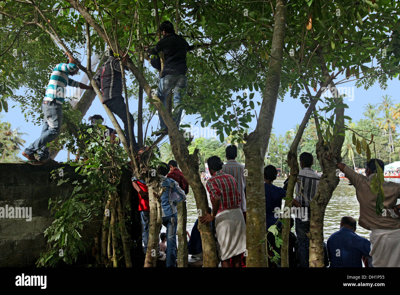 people climb on trees to see boat racing in Punnamada Lake at Alleppey ...