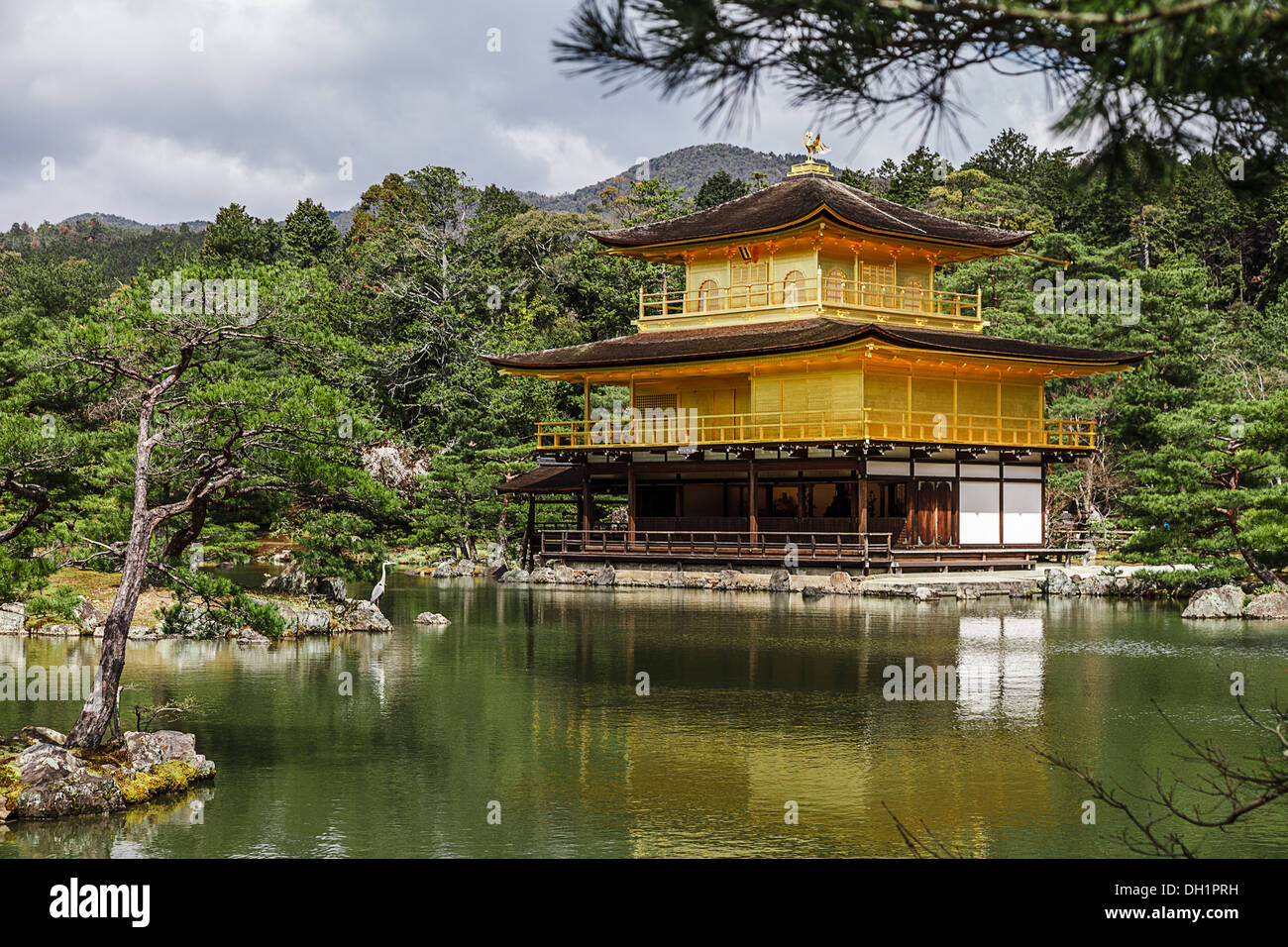 Kinkakuji golden temple in spring time, Kyoto Japan Stock Photo - Alamy