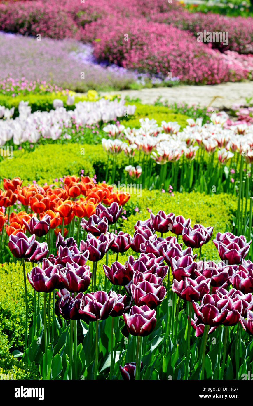 Beautiful nature in bulgaria flowers hi-res stock photography and ...