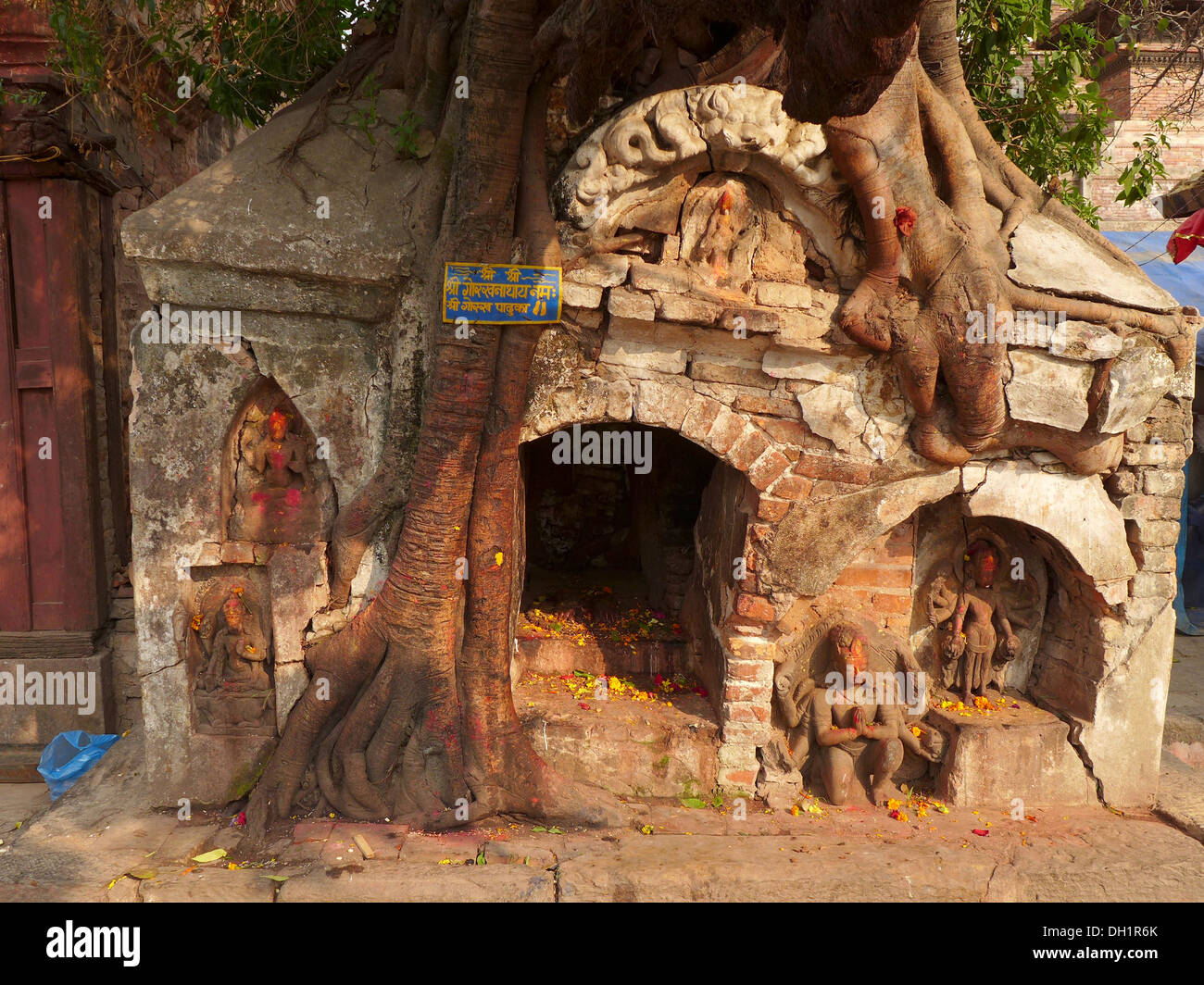 Nepal Durbar Square, Kathmandu. Roots of tree Stock Photo - Alamy