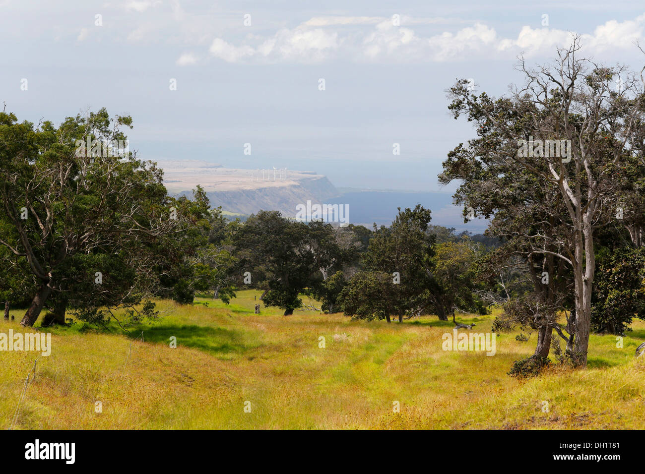 View towards South Point from the former ranch of the new Kahuku Unit ...