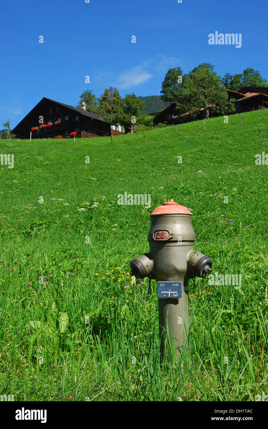 fire hydrant in a green meadow, Switzerland Stock Photo - Alamy