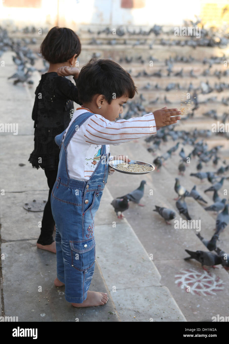 Kids and pigeons hi-res stock photography and images - Alamy