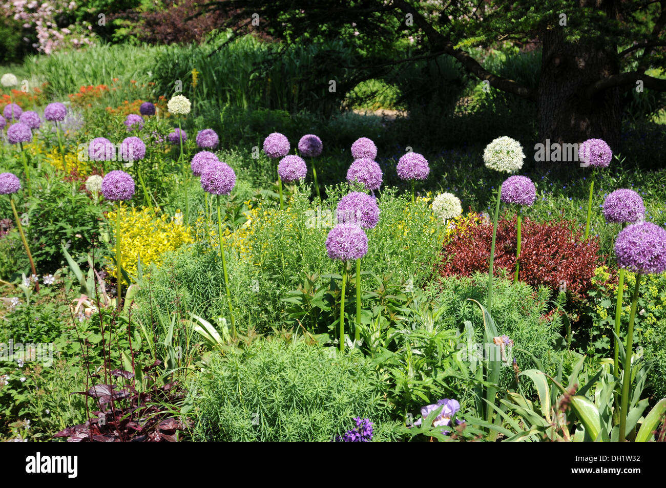 Lucy blume hi-res stock photography and images - Alamy