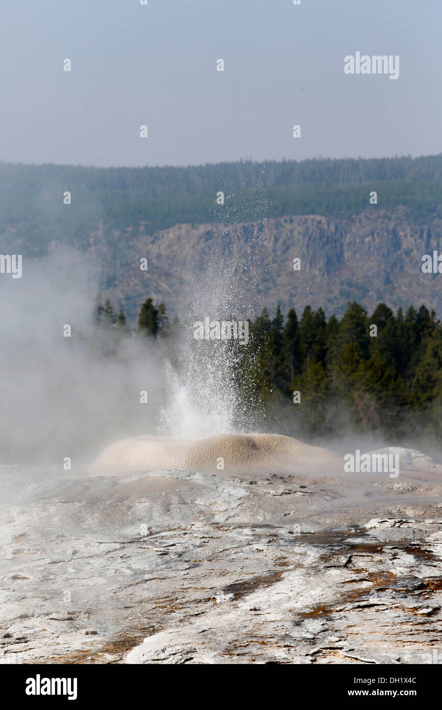 Geyser erupting at the Lion Formation, Upper Geyser Basin, Yellowstone ...