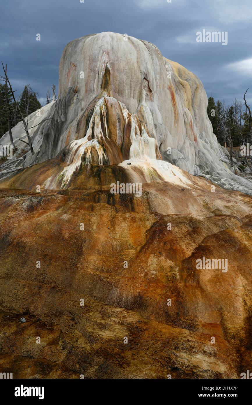 Limestone terraces of Mammoth Hot Springs, Yellowstone National Park ...