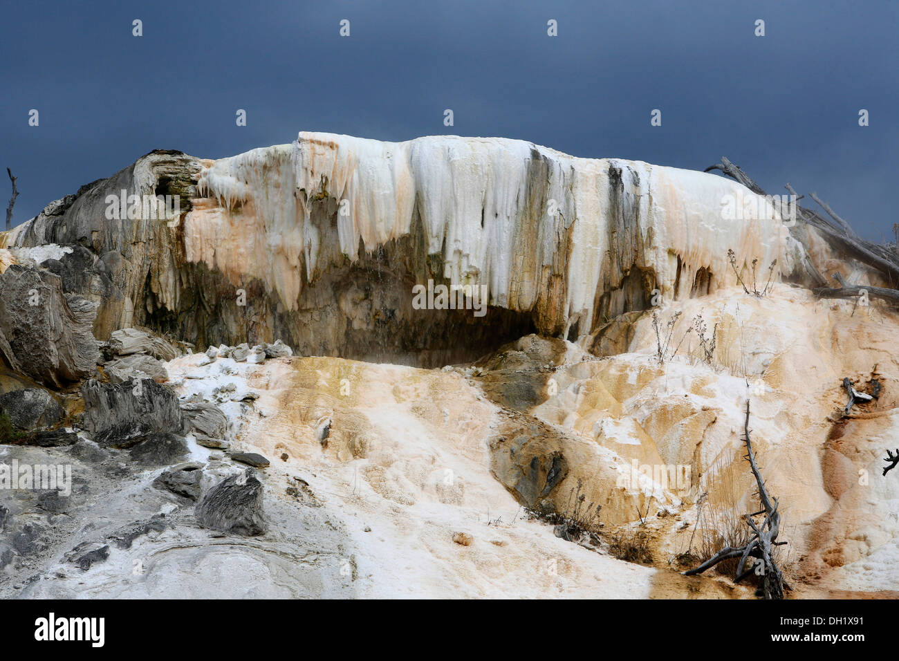 Limestone terraces of Mammoth Hot Springs, Yellowstone National Park ...