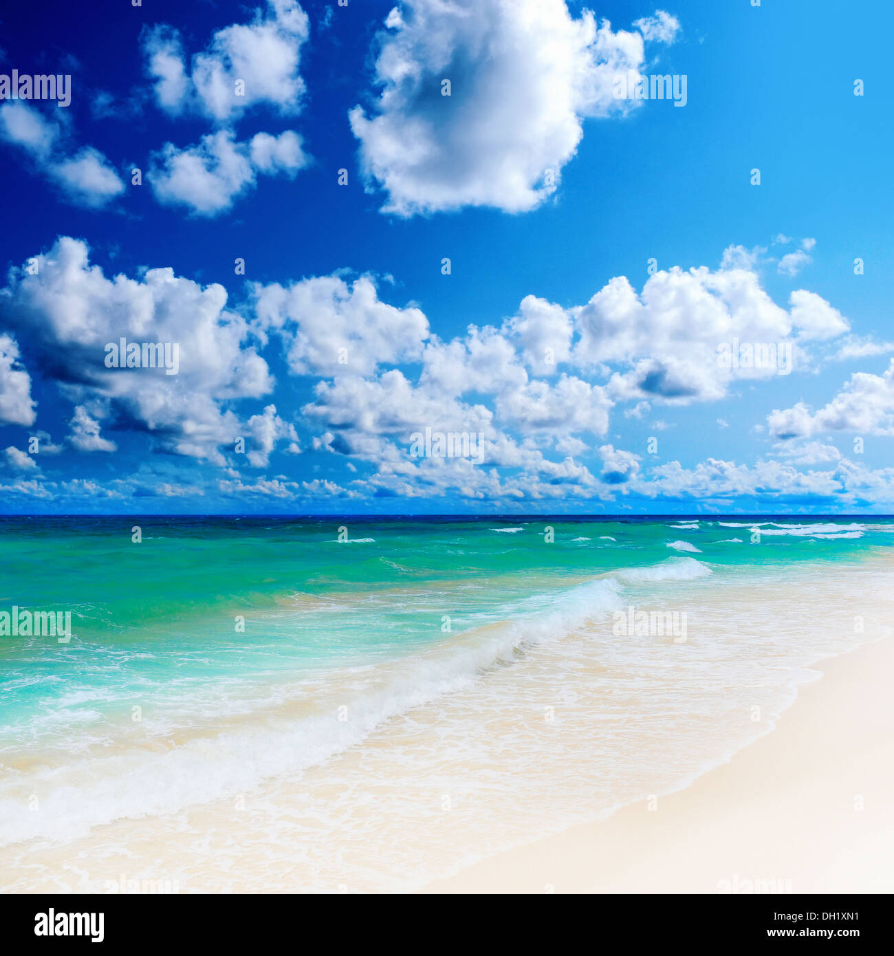 Sunny tropical beach on the island Stock Photo - Alamy