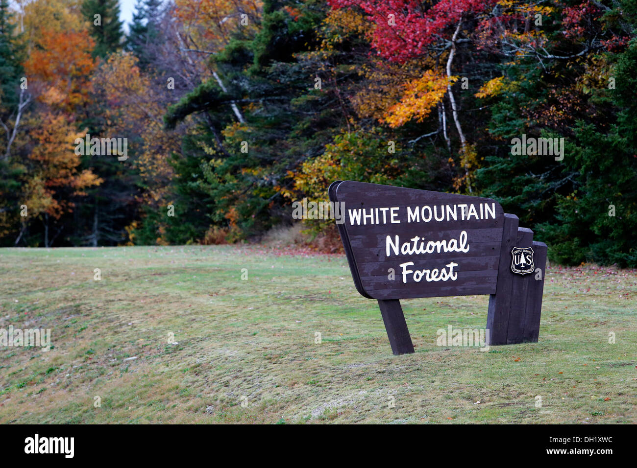 Deciduous forests new hampshire hi-res stock photography and images - Alamy