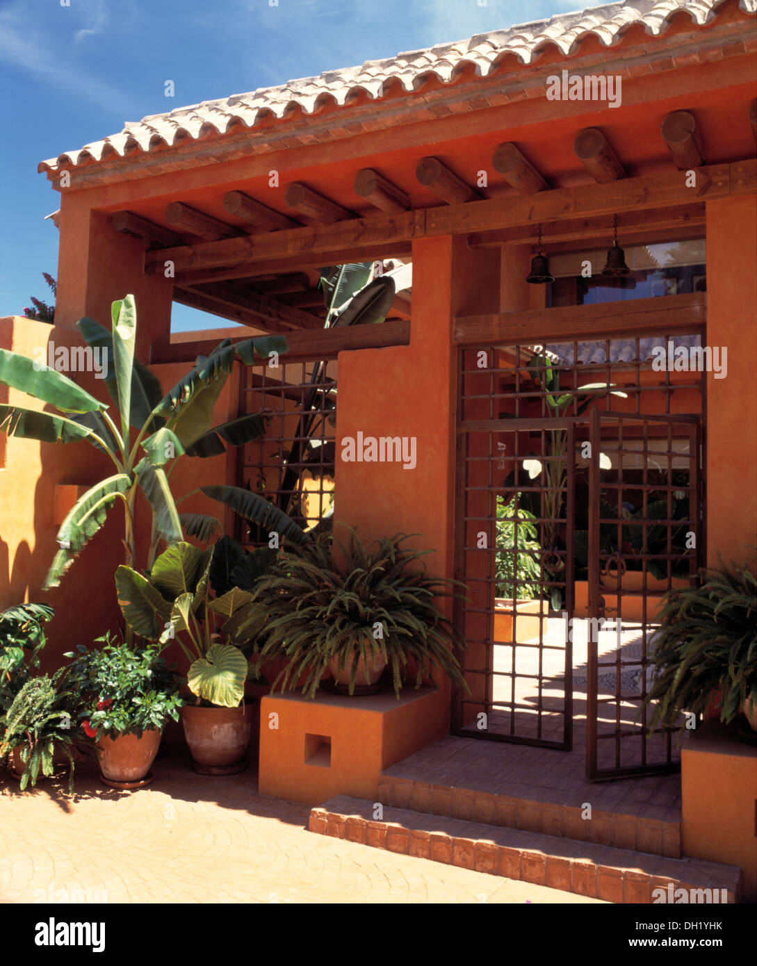 Exotic plants in pots beside metal gates to modern, terracotta painted ...