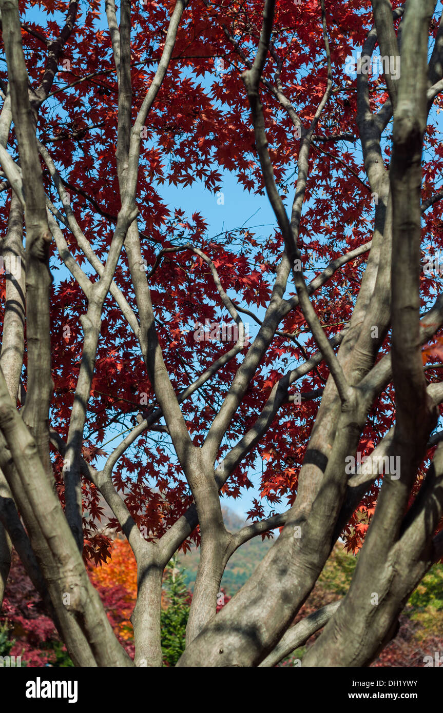 Changing seasons hi-res stock photography and images - Alamy