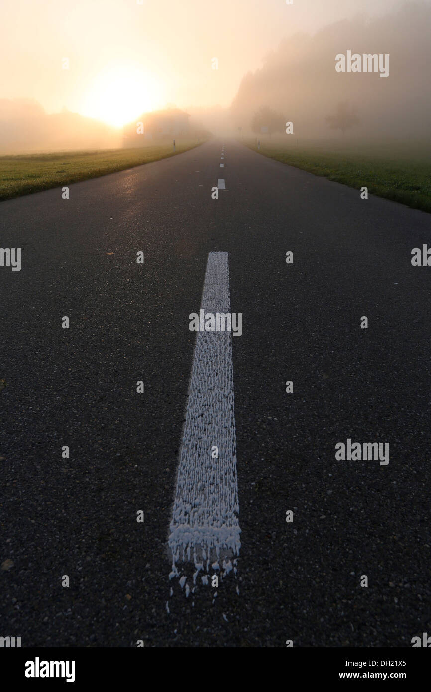 Country road with mist hi-res stock photography and images - Alamy