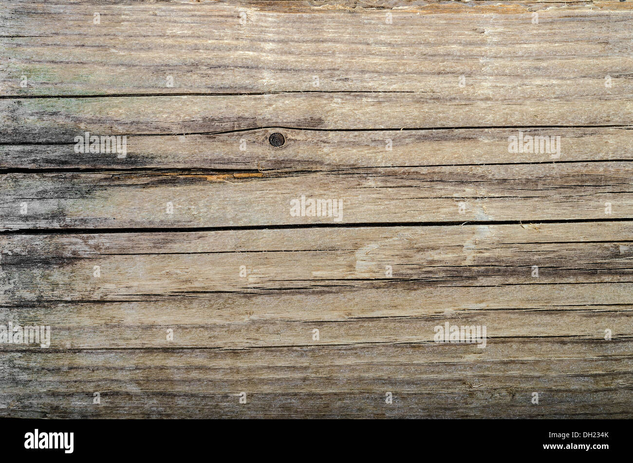 Fresh wood texture hi-res stock photography and images - Alamy