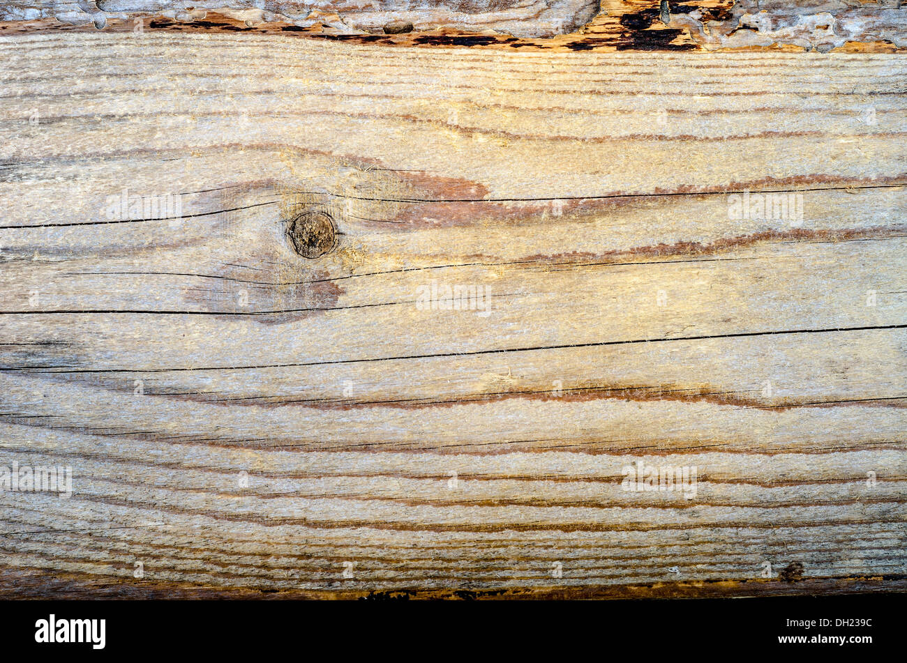 Fresh wood texture hi-res stock photography and images - Alamy