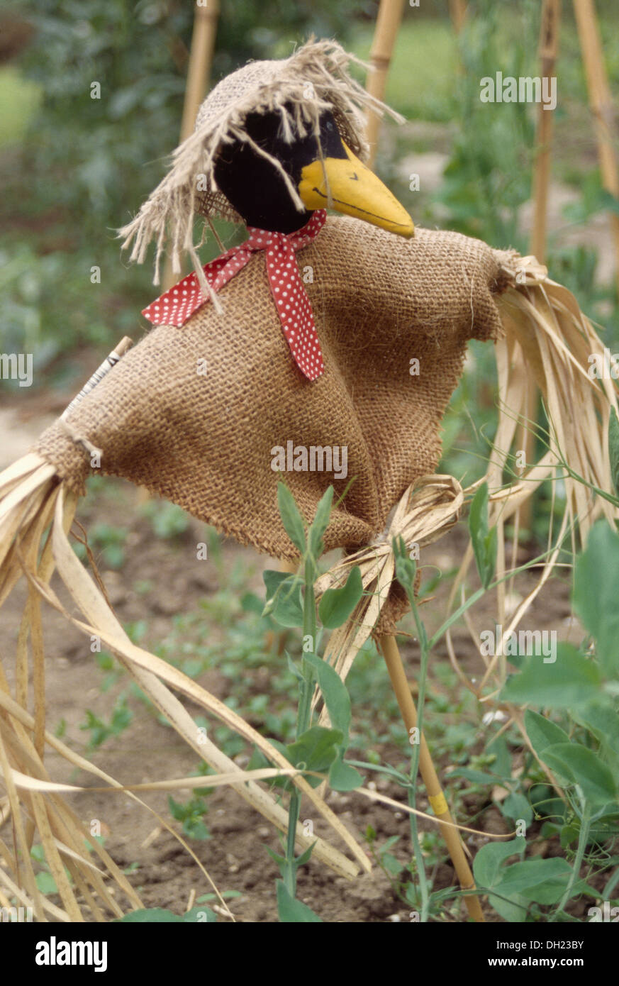Home made scarecrows hi-res stock photography and images - Alamy