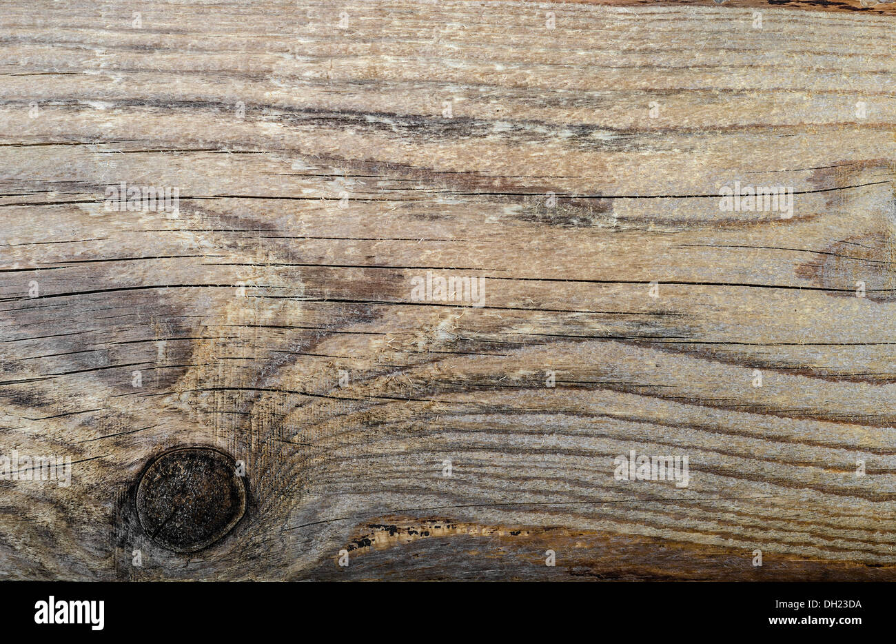 Texture of fresh wood background Stock Photo - Alamy