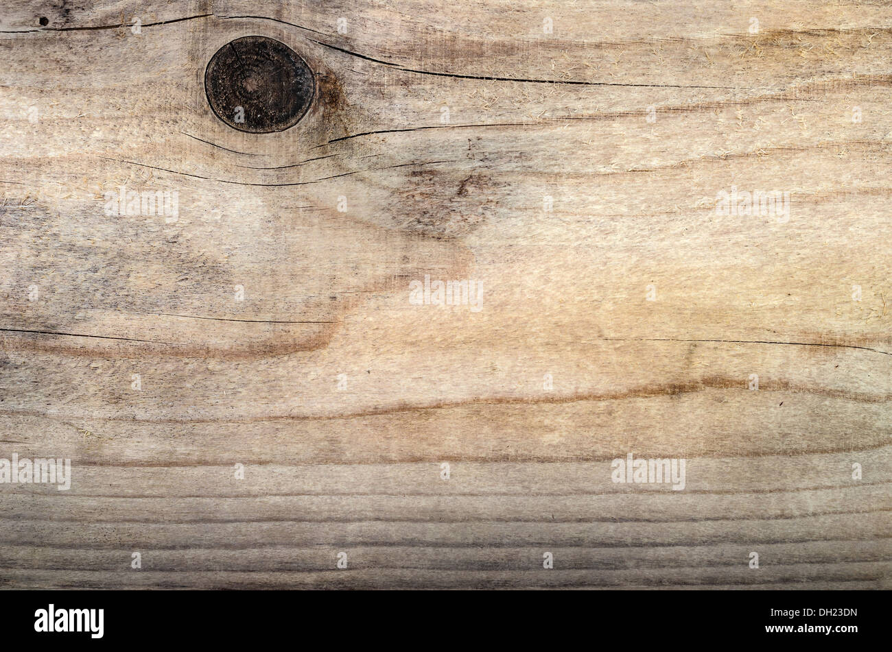 Texture of fresh wood background Stock Photo - Alamy