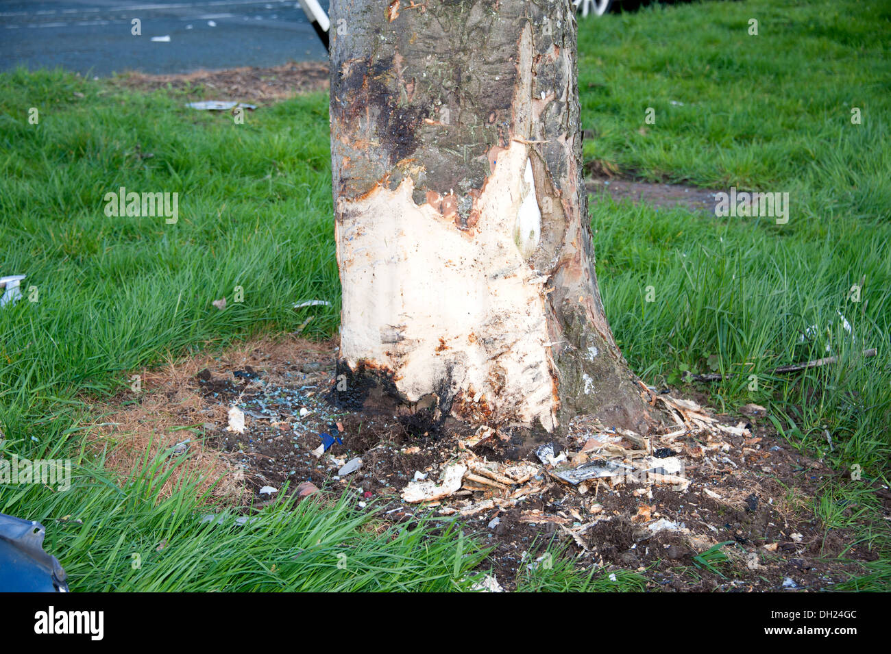 Car accident tree hi-res stock photography and images - Alamy