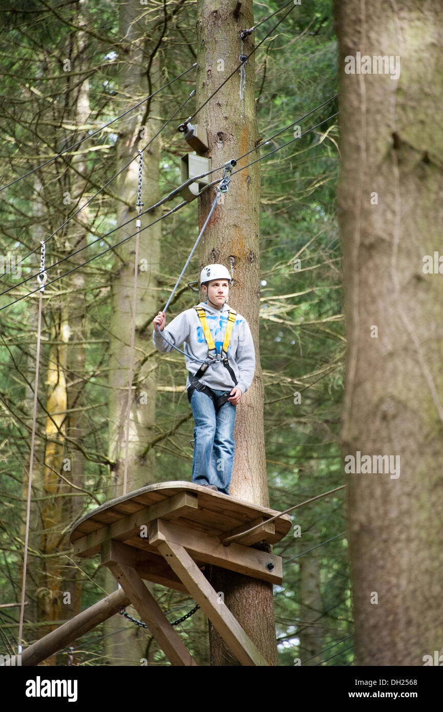 Teenage Boy Nervous High Rope Trees Jump FULLY MODEL RELEASED Stock ...