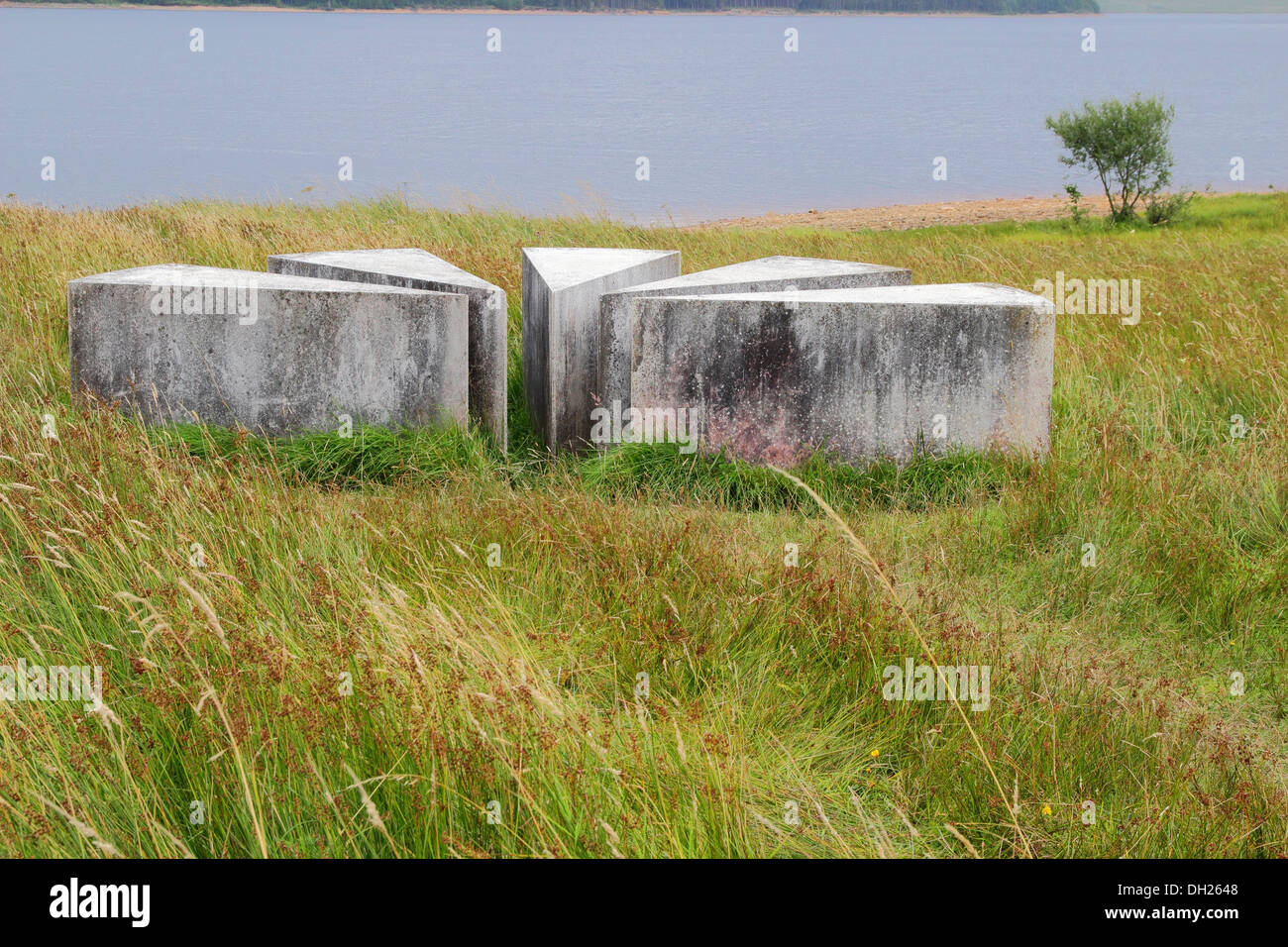 Kielder forest park hi-res stock photography and images - Alamy