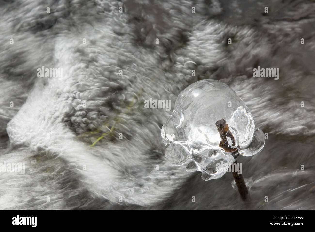 Ice on a stick Stock Photo - Alamy