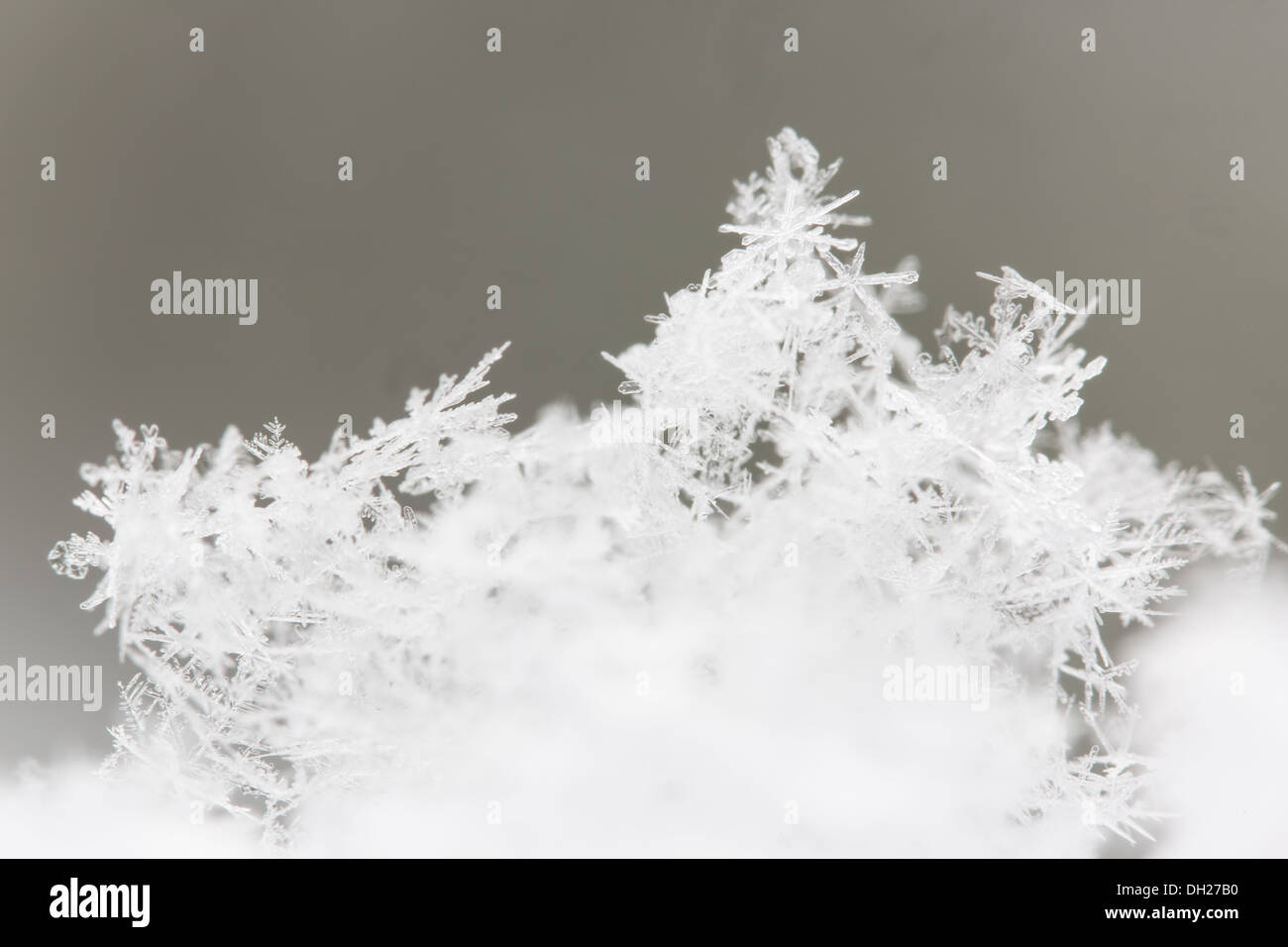 Snowflakes snow crystals hi-res stock photography and images - Alamy