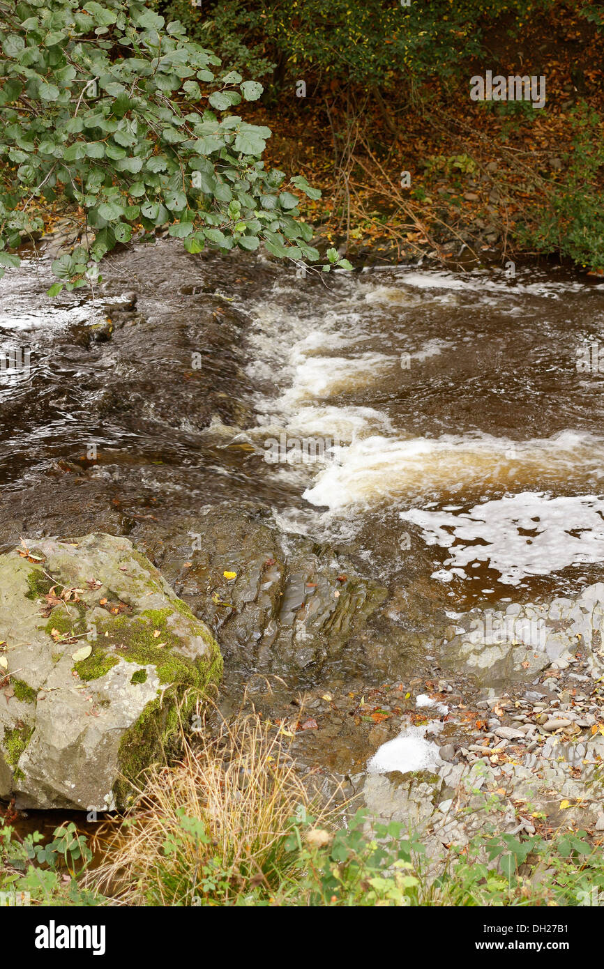 Fast flowing river section hi-res stock photography and images - Alamy