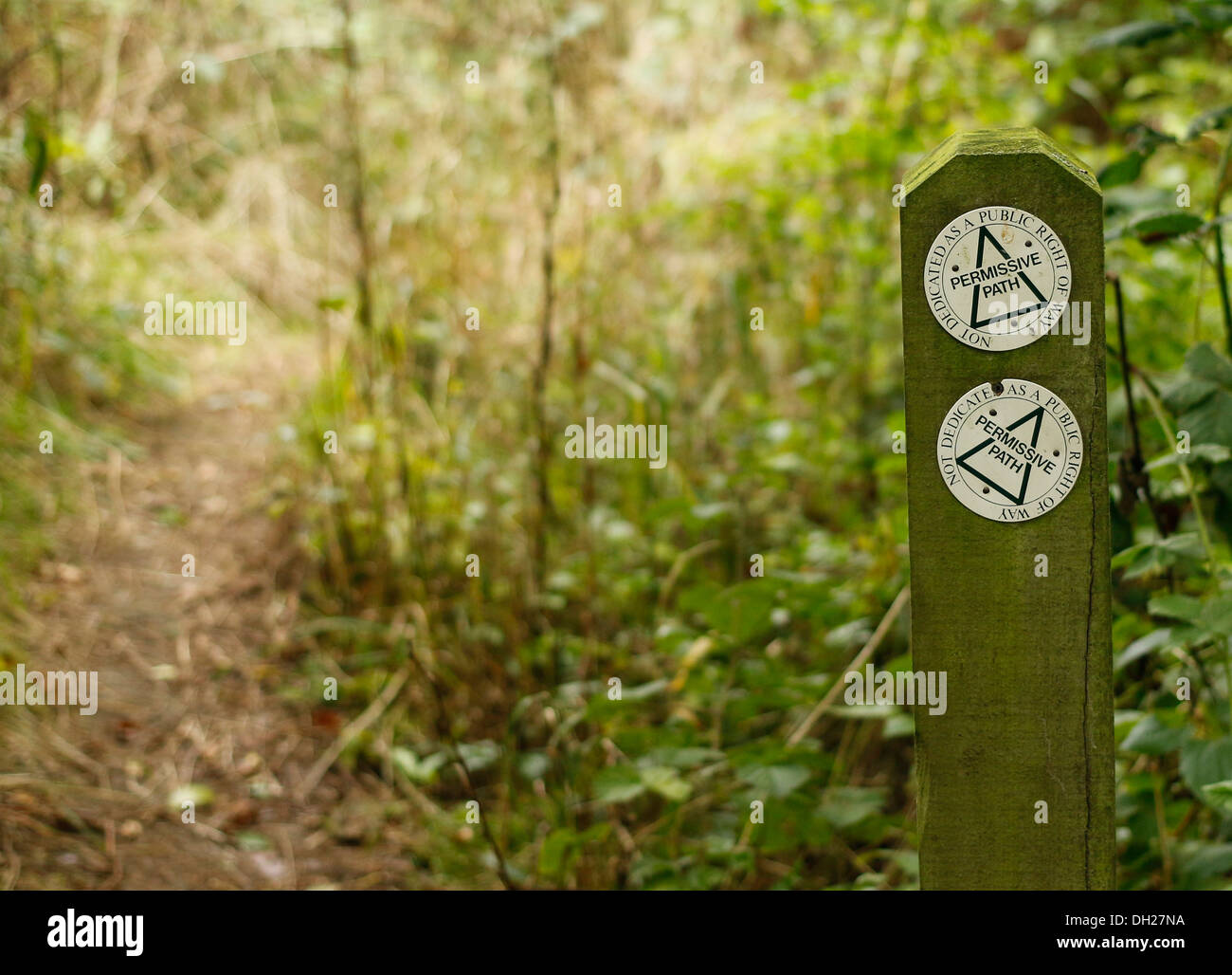signs and direction posts in the woods in South Gloucestershire ...