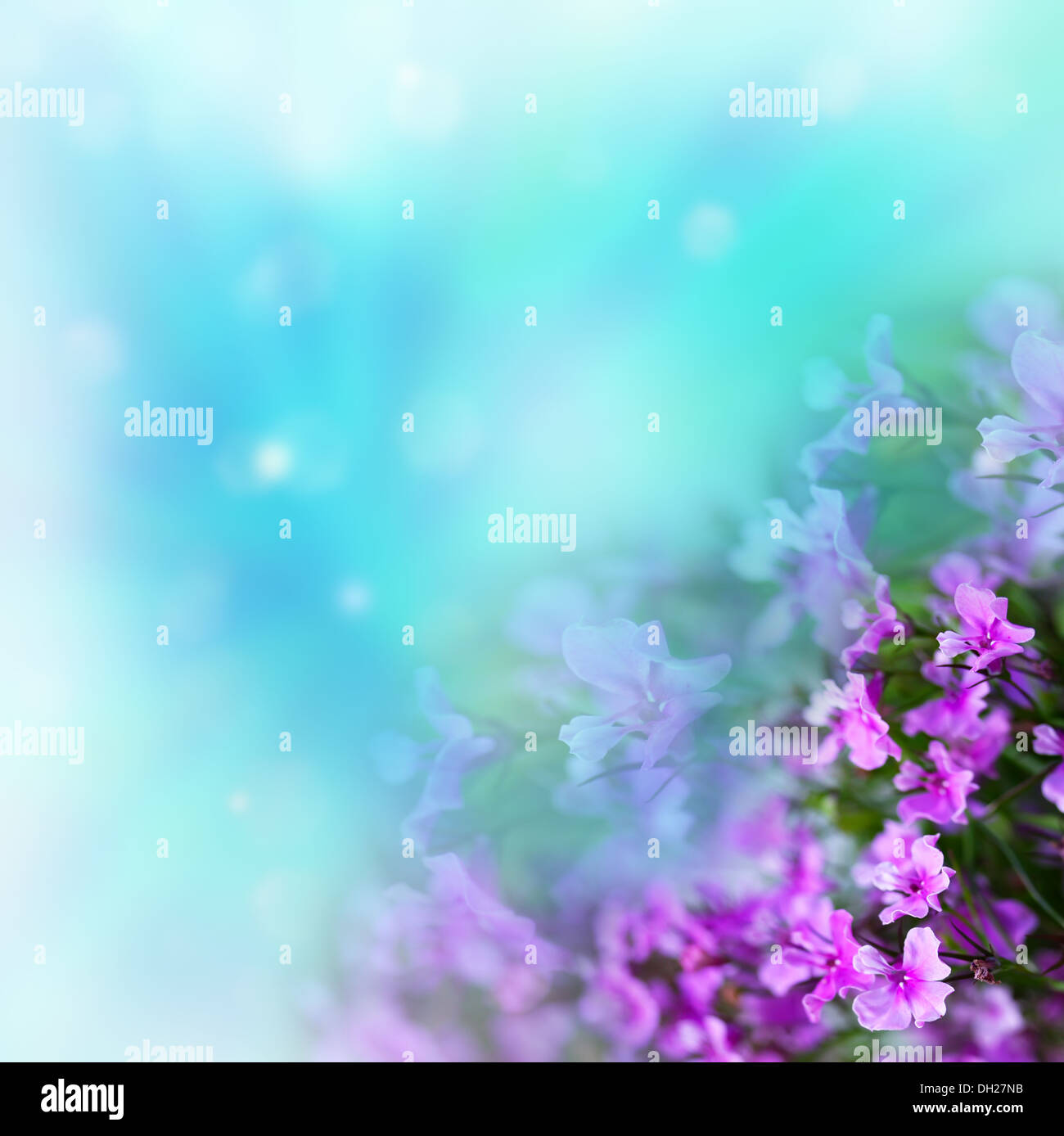 Flowers on abstract background Stock Photo - Alamy