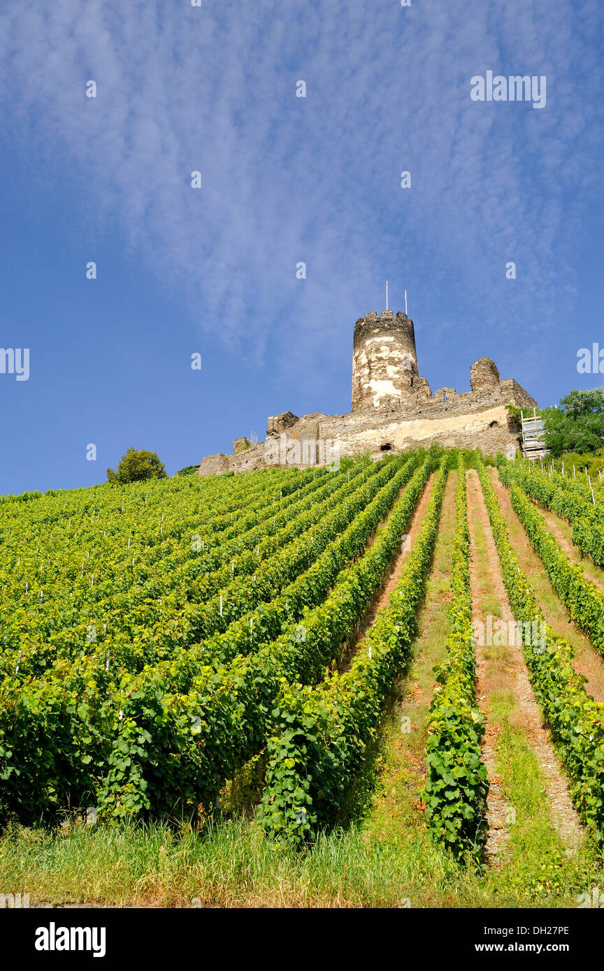 Burg Fuerstenberg Castle, UNESCO World Cultural Heritage Site, Upper ...