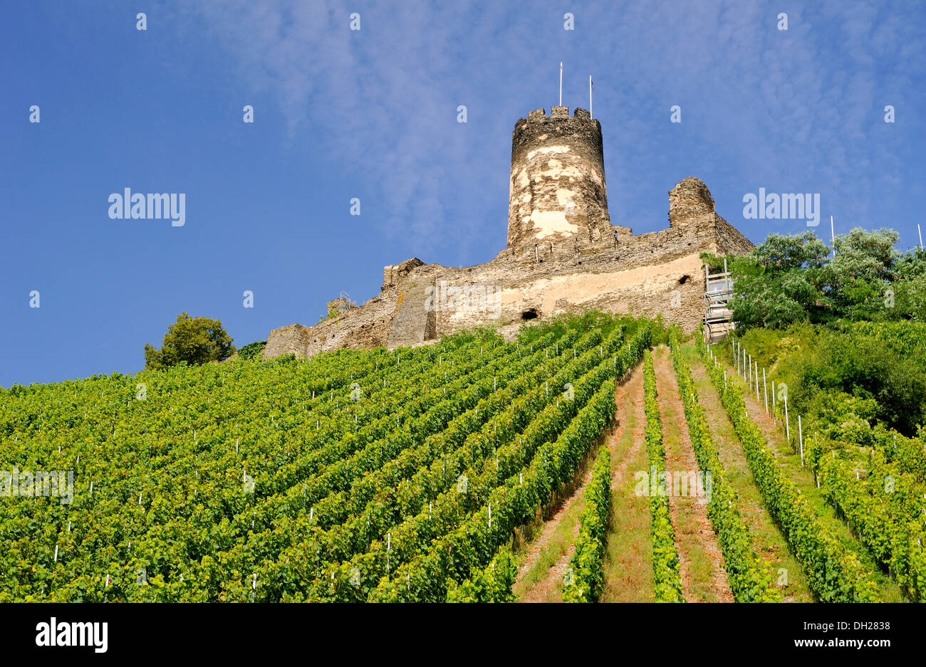 Burg Fuerstenberg Castle, UNESCO World Cultural Heritage Site, Upper ...