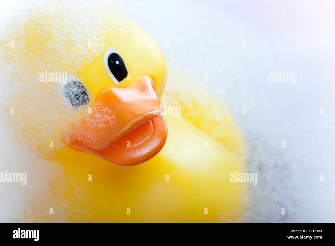 Yellow rubber duck Stock Photo - Alamy