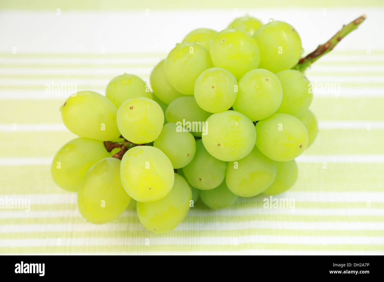 Green muscat hi-res stock photography and images - Alamy