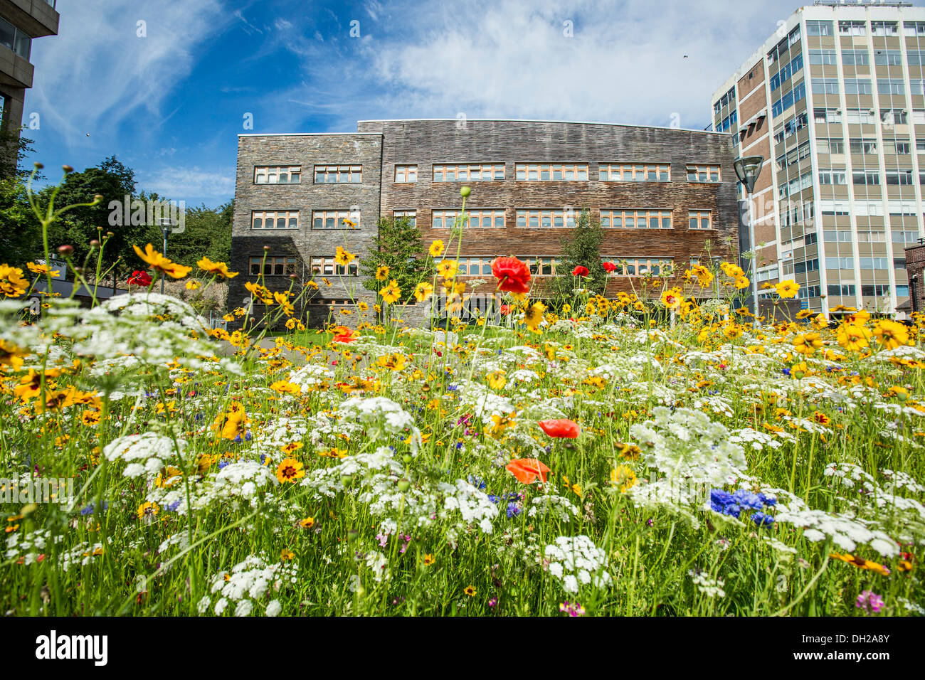 At Bangor University High Resolution Stock Photography and Images - Alamy