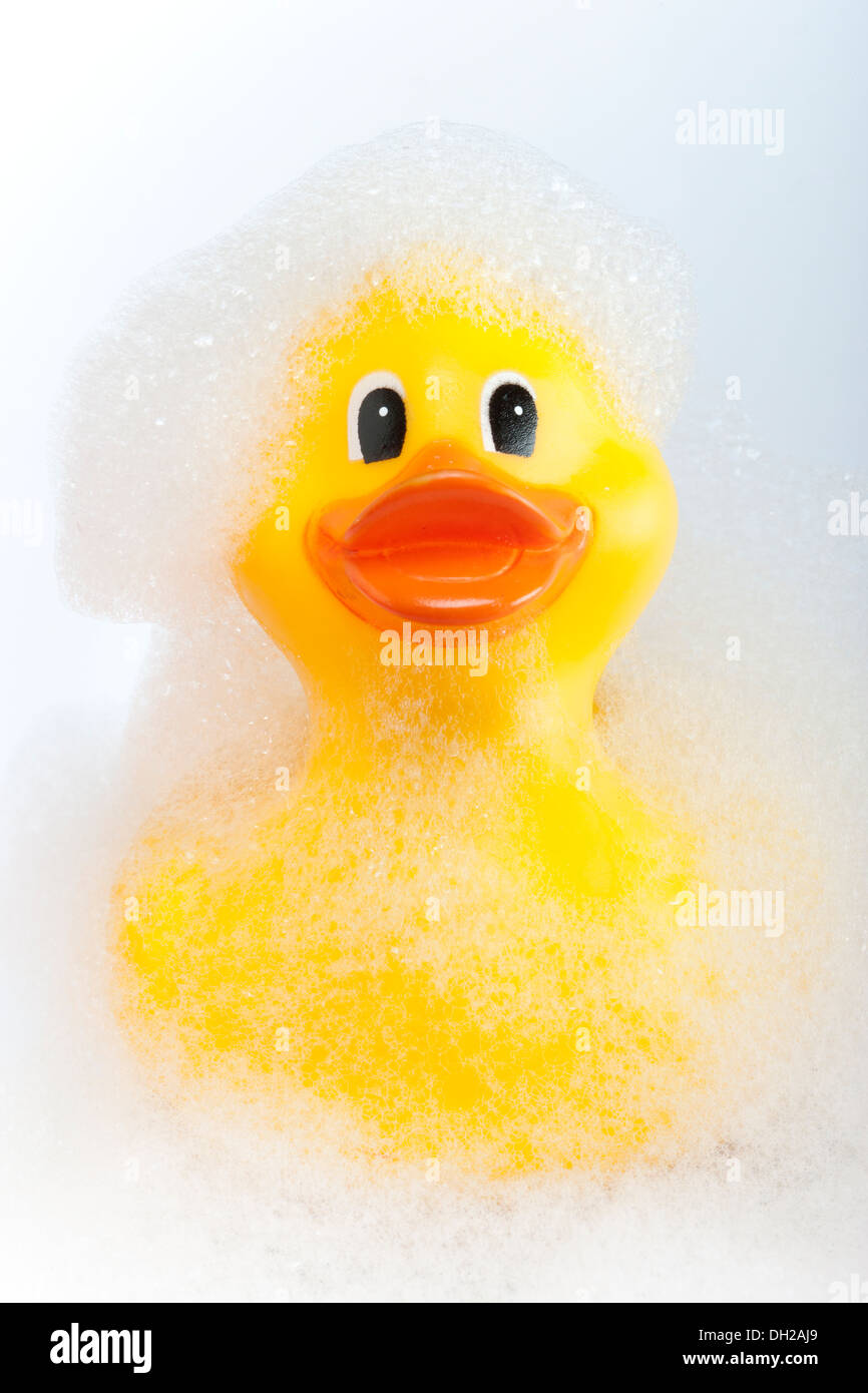 Yellow rubber duck Stock Photo - Alamy