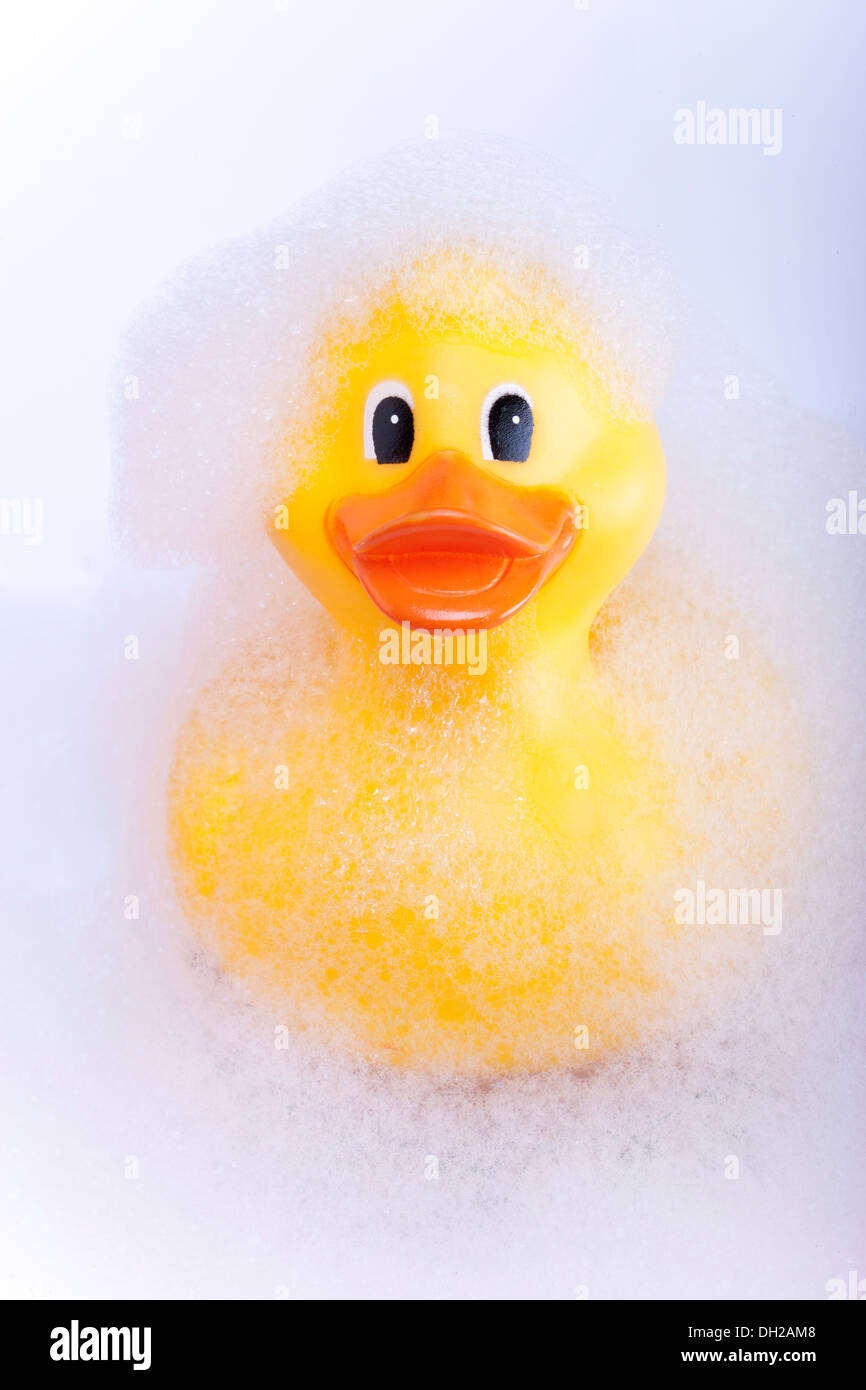 Yellow rubber duck Stock Photo - Alamy