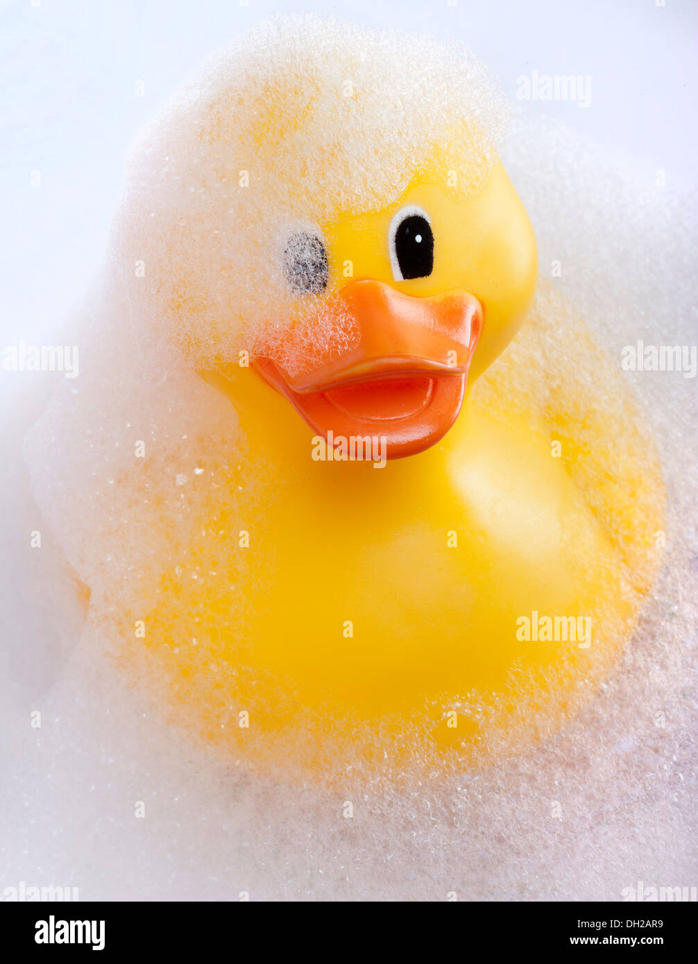 Yellow rubber duck Stock Photo - Alamy