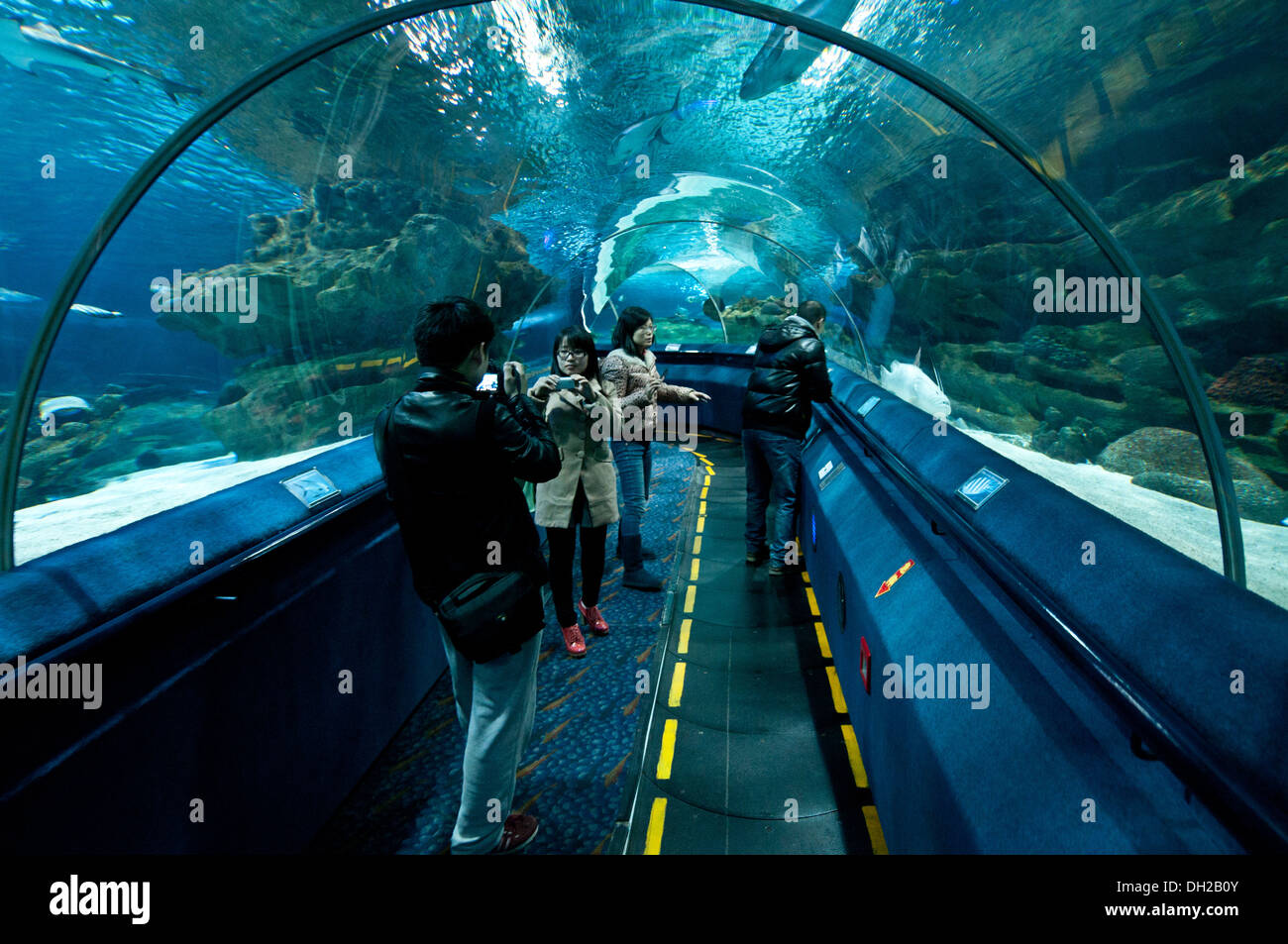 acrylic underwater tunnel in Beijing Gongti Richina Underwater World ...