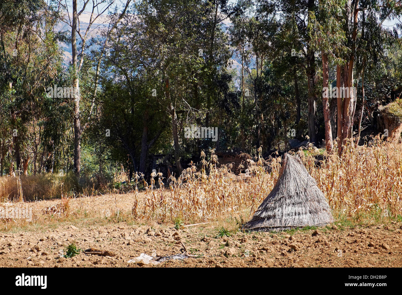 Rural settlements hi-res stock photography and images - Alamy