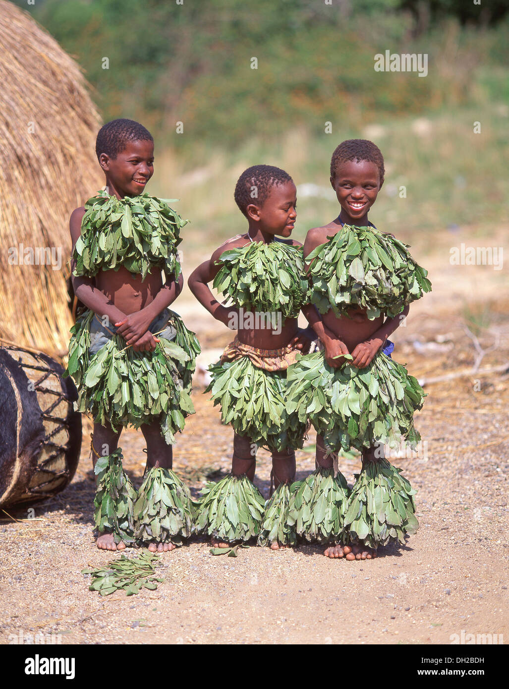Young local boy dancers, Lubombo District, Eswatini (Swaziland Stock ...